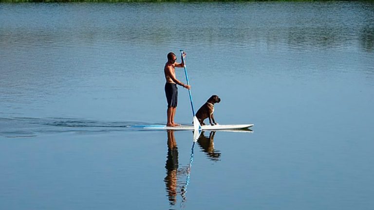 Trucos para aprender a remar en paddle surf | Devessport